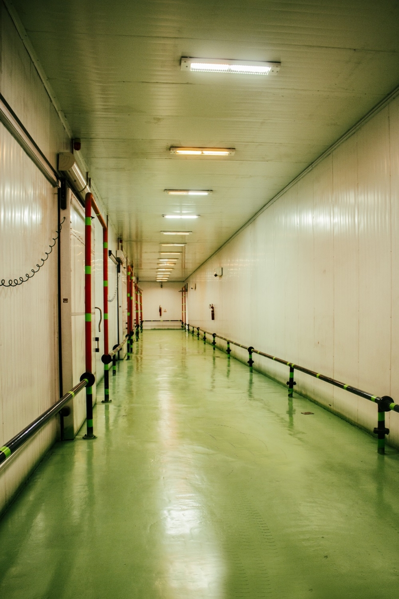 شرکت خدمات دریایی و بندری سی دلف