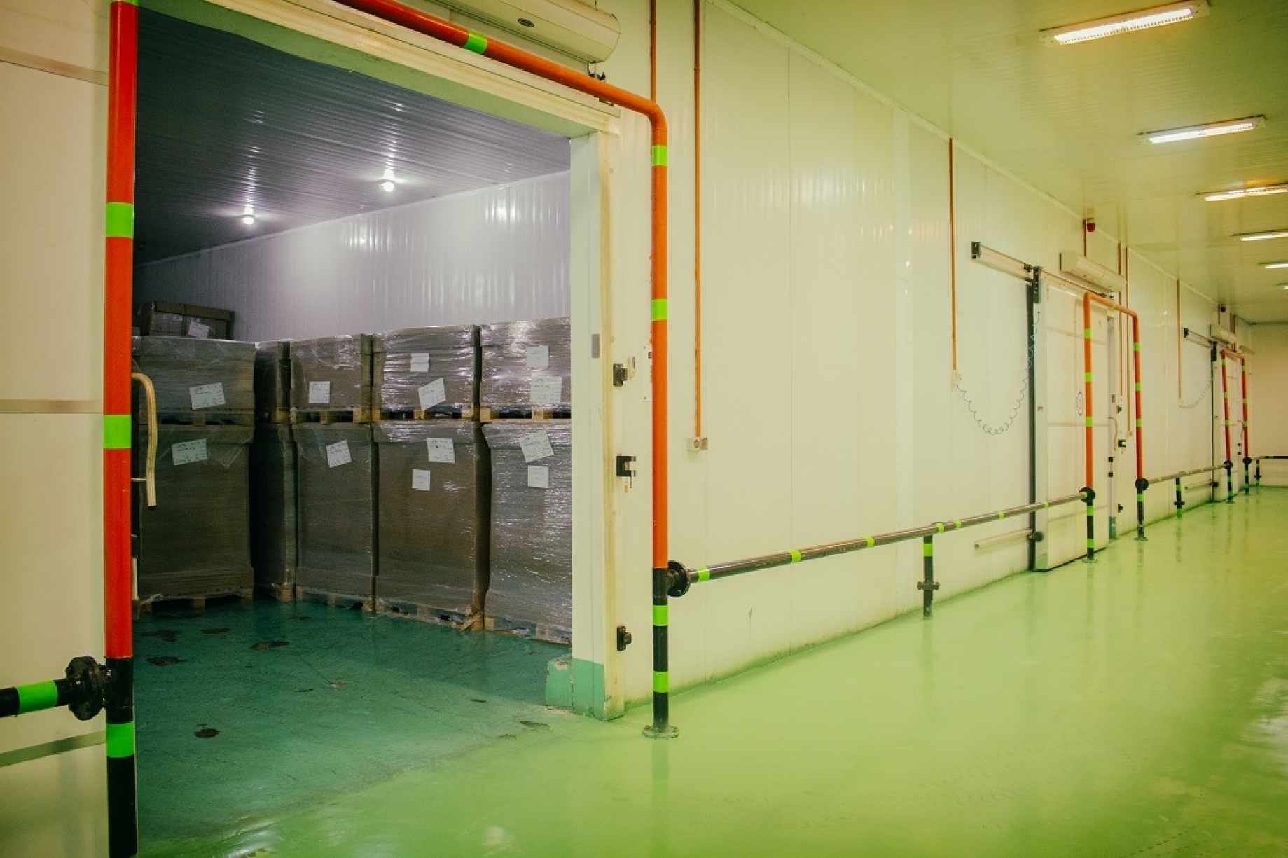 شرکت خدمات دریایی و بندری سی دلف