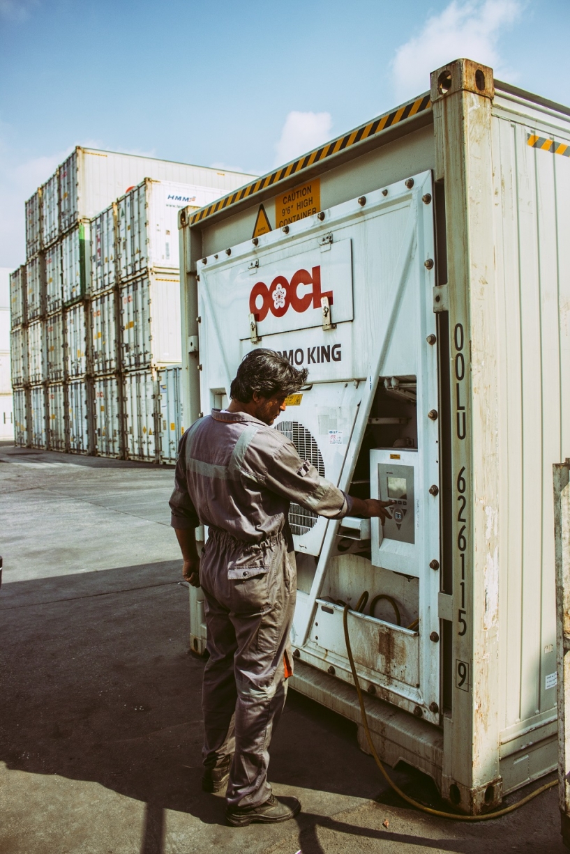 شرکت خدمات دریایی و بندری سی دلف