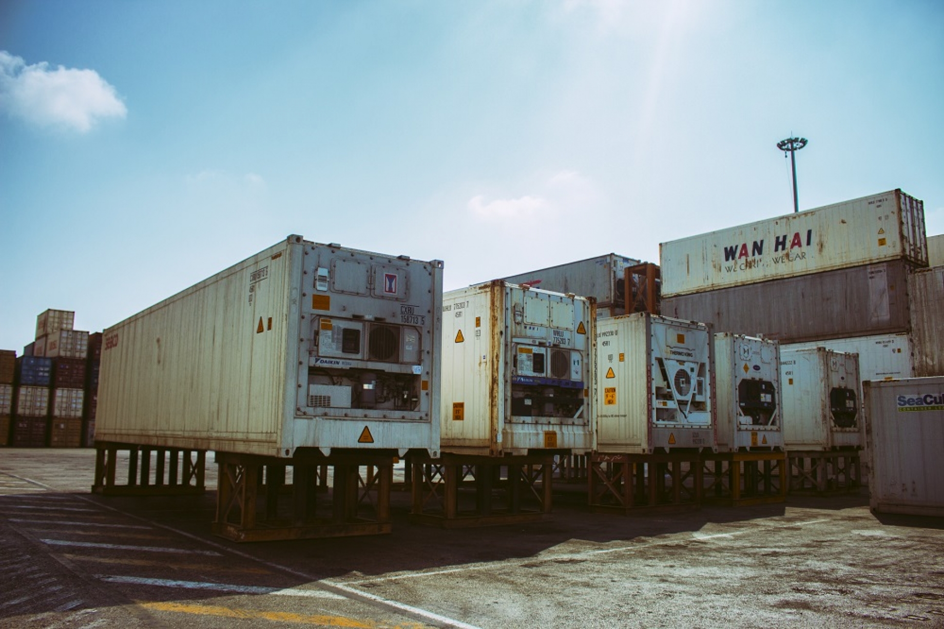 شرکت خدمات دریایی و بندری سی دلف